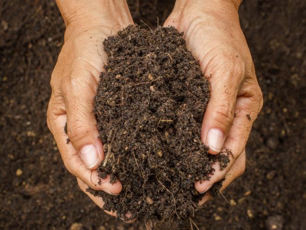 Compostarea deseurilor organice in Moldova